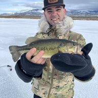 Mathews V3 Tuning Issue. Top Hat Issue??? | Rokslide Forum